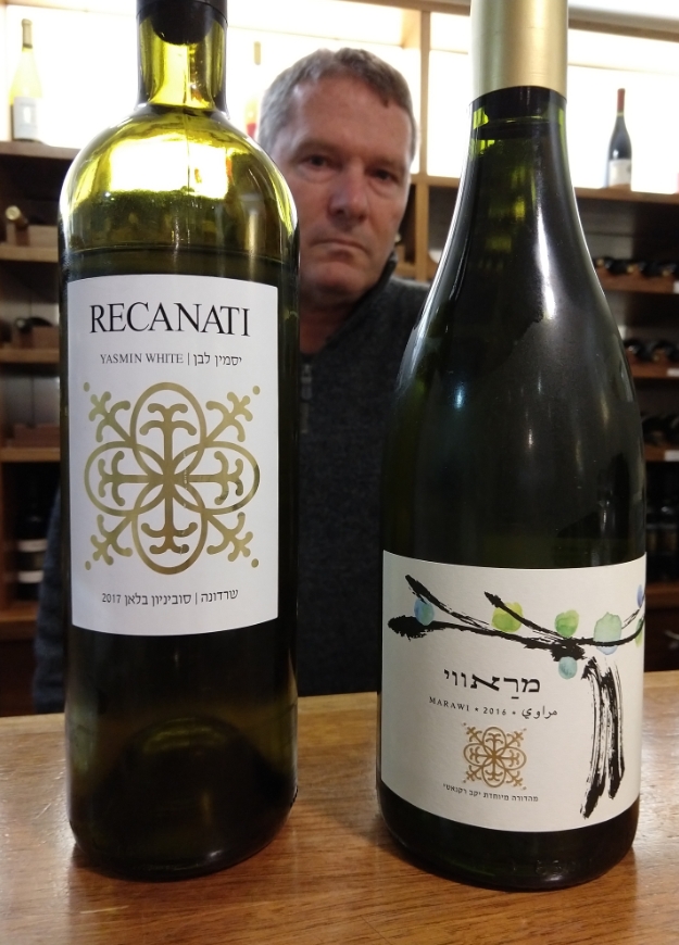 Trinity Of Trinities (Israeli Wine, Part 1) | 1 Wine Dude