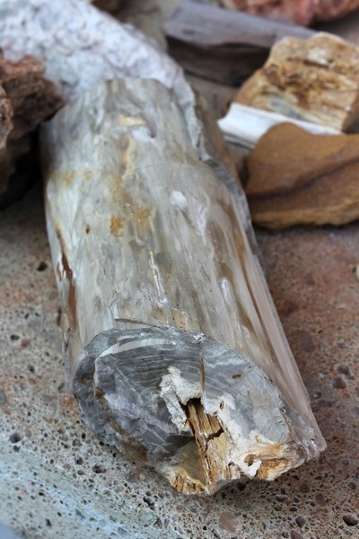 A Hungarian With Serious Stones (István Szepsy Recent Releases) | 1 ...